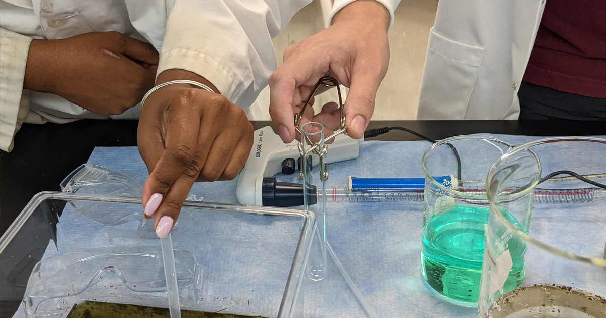 School of Biological & Physical Sciences