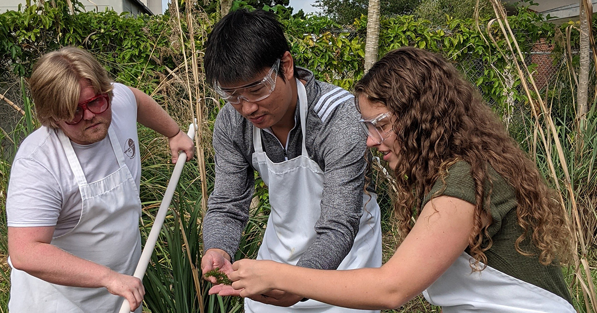Environmental Science Technology
