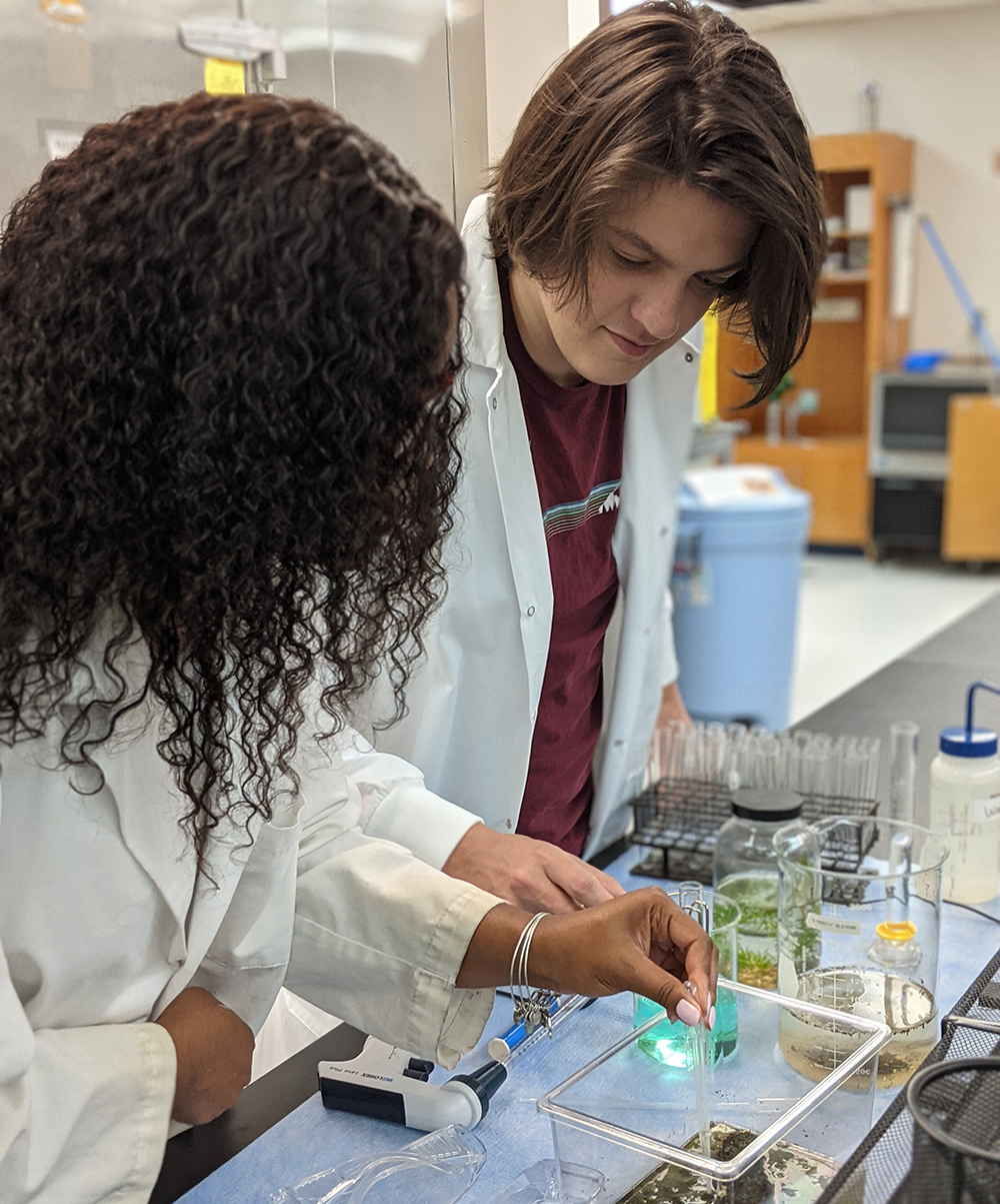 Environmental Science Technology